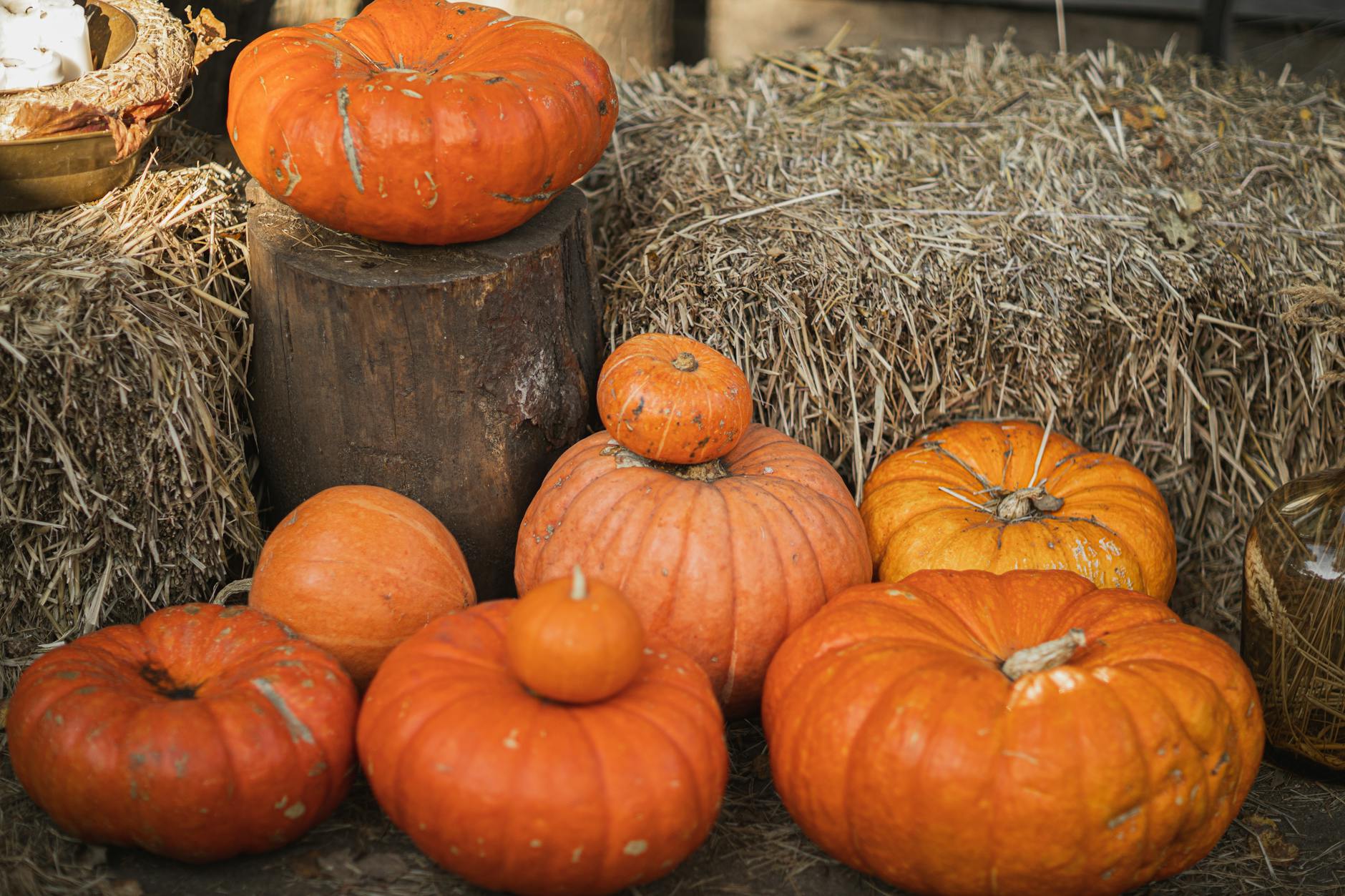 The Best Fall Anti-Cancer Foods: A Breast Cancer Survivor’s Guide ...